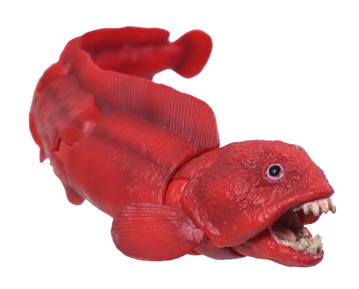 Capsule toys of sea monster fish released: Wolffish and spider crabs ...